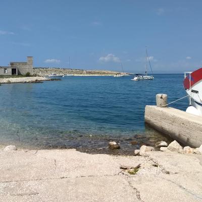 Arta Beach 🏖️ Sveti Grgur, Hırvatistan - detaylı özellikler, harita ...
