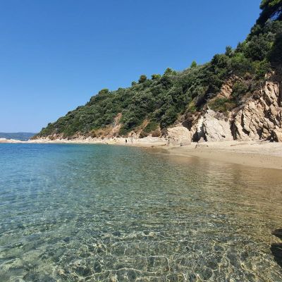 Bananistas beach II 🏖️ Skiathos Adası, Yunanistan - detaylı özellikler ...