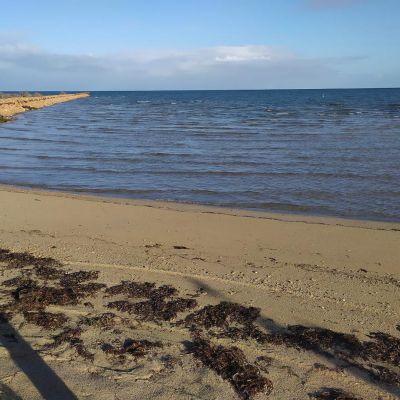 Gladstone Bay Beach 🏖️ Köpekbalığı Körfezi Belediyesi, Avustralya ...