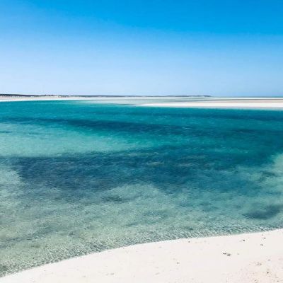 Nicholson Point Shark Bay 🏖️ Köpekbalığı Körfezi Belediyesi, Avustralya ...