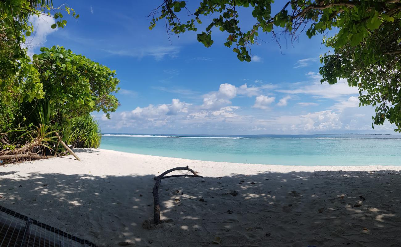 Aamagu Beach 🏖️ Manadhoo, Shaviyani Atolü, Maldivler - detaylı ...