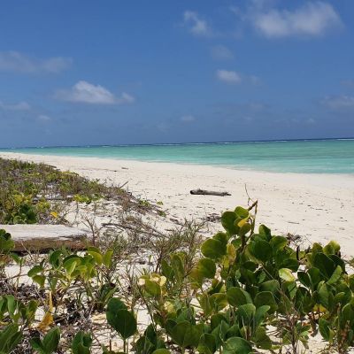 Praia Relanzapo 🏖️ Chalane, Nampula, Mozambik - detaylı özellikler ...