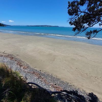 Tawhitokino Beach 🏖️ Kuzey adası, Yeni Zelanda - detaylı özellikler ...