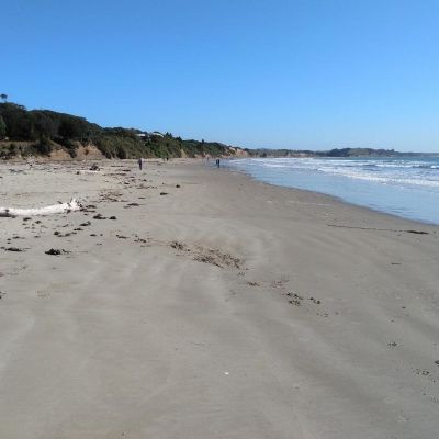 Warrington Beach 🏖️ Güney adası, Yeni Zelanda - detaylı özellikler ...