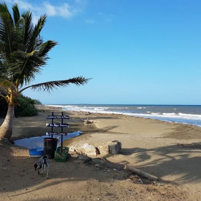 Bull Beach 🏖️ Pedasi, Los Santos, Panama - detaylı özellikler, harita ...