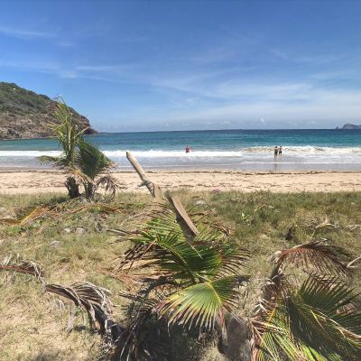 Hope beach 🏖️ Bequia adası, Saint Vincent and the Grenadines - detaylı ...