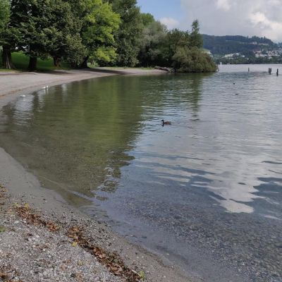 Strandbad Tribschen Lucerne 🏖️ Lucerne, İsviçre - detaylı özellikler ...