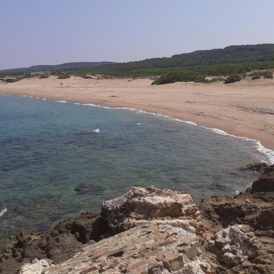 Plage Sidi Mechreg 🏖️ Bizerte, Tunus - detaylı özellikler, harita ...