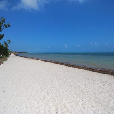 Cocoa Plum beach 🏖️ Florida, Amerika Birleşik Devletleri - detaylı ...