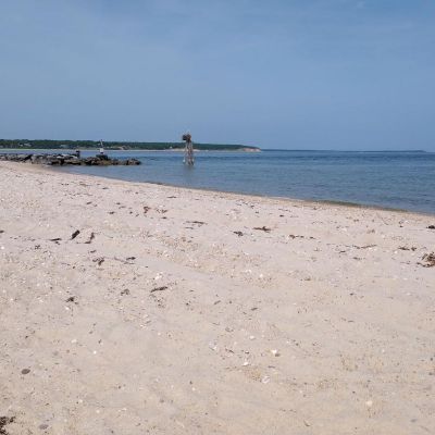 Maidstone Beach 🏖️ Maidstone Park, New York, Amerika Birleşik ...